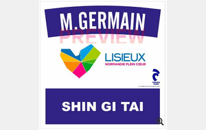 Dossard - Shin gi tai dojo Lisieux